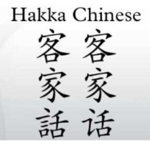 Most Popular Languages Spoken in China