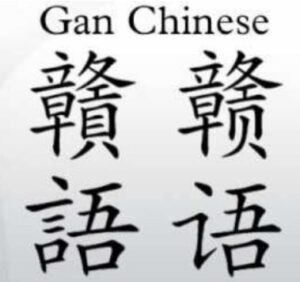 Most Popular Languages Spoken in China